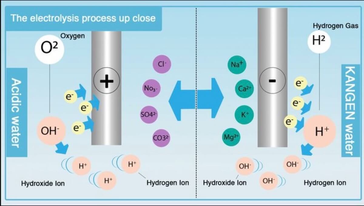 Alkaline Water Treatment System: Enhance Your Drinking Water Quality ...